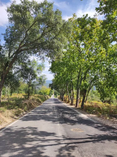 Best Hikes and Trails in Pedrógão Grande | AllTrails