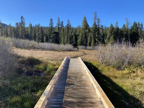 Best Mountain Biking Trails in Trinity Center | AllTrails