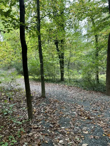 Best Hikes and Trails in Daniels Run Park | AllTrails