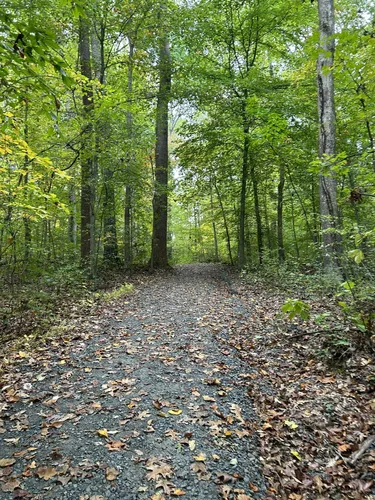 Best Hikes and Trails in Daniels Run Park | AllTrails
