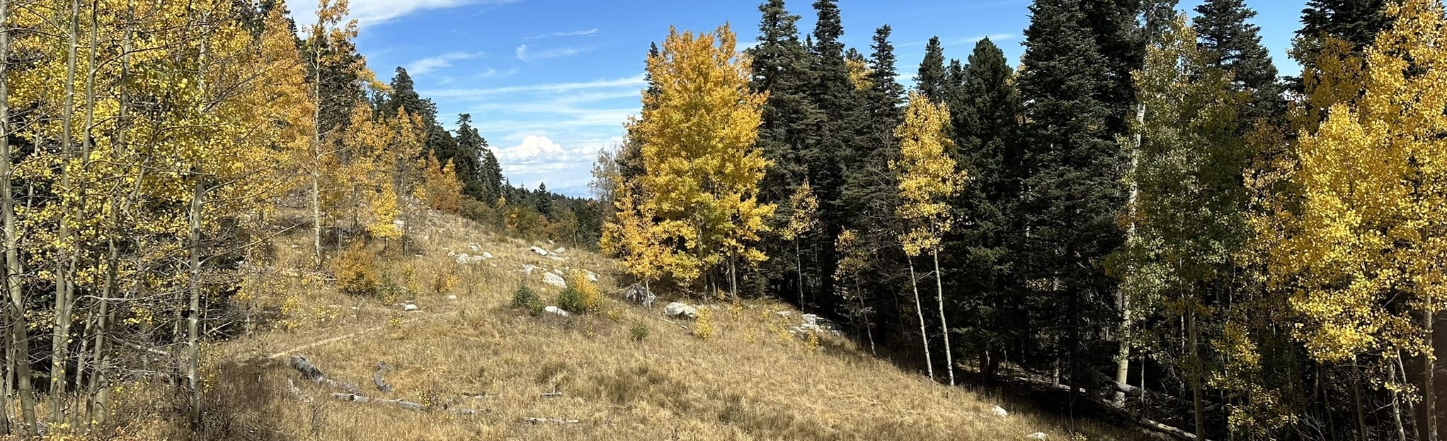 10K #200 and Ellis #202 Trail Loop: 48 Reviews, Map - New Mexico ...