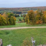Kelso: Fox Loop, Ontario, Canada - 428 Reviews, Map | AllTrails