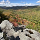 Little Lost Cove Cliffs, North Carolina - 147 Reviews, Map | AllTrails