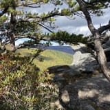 Little Lost Cove Cliffs, North Carolina - 147 Reviews, Map | AllTrails