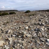 Timber Point, Maine - 397 Reviews, Map | AllTrails