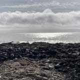 Timber Point, Maine - 397 Reviews, Map | AllTrails