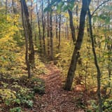 Spruce Hill via Hoosac Range Trail, Massachusetts - 585 Reviews, Map ...