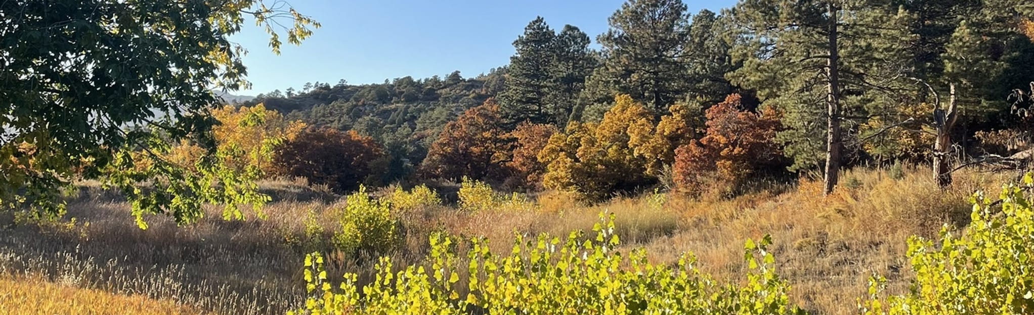 Pulpit Rock via University, Shephard, Rim, Spine, and Butler Trail ...
