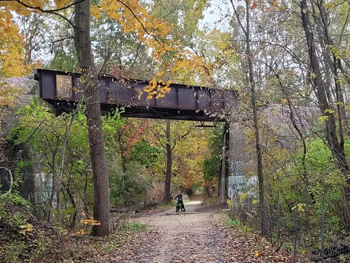 Best Hikes and Trails in Rock Island Trail State Park | AllTrails