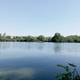 Conestoga Trail: Speedwell Forge Lake, Pennsylvania - 192 Reviews, Map ...