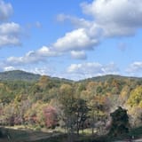 Lake Blue Ridge Loop , Georgia - 776 Reviews, Map | AllTrails