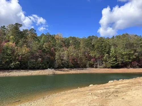 Blue Ridge Lake Recreation Area: de beste routes om te wandelen | AllTrails