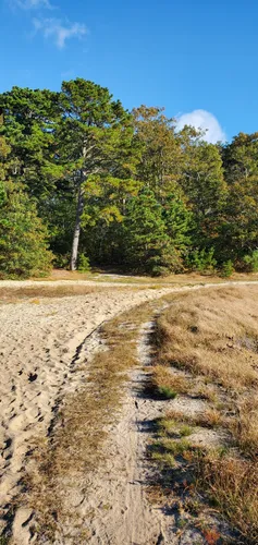 Best Hikes and Trails in Mother's Bog Aquifer Protection Area | AllTrails