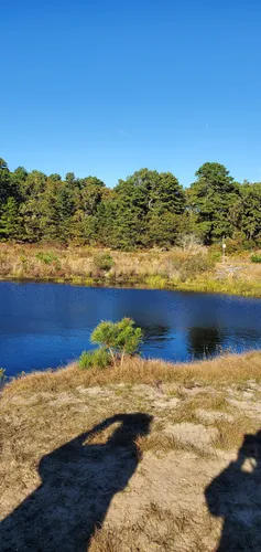 Best Hikes and Trails in Mother's Bog Aquifer Protection Area | AllTrails