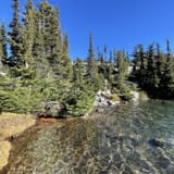Tuck and Robin Lakes, Washington - 834 Reviews, Map | AllTrails