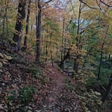 Winchell Trail, Minnesota - 520 Reviews, Map | AllTrails