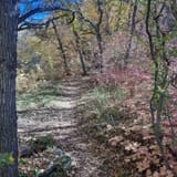 Red Butte Gardens Small Loop, Utah - 289 Reviews, Map | AllTrails