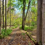 Edgecliff Loop, New York - 327 Reviews, Map | AllTrails