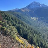 Top Spur and Timberline Loop, Oregon - 800 Reviews, Map | AllTrails