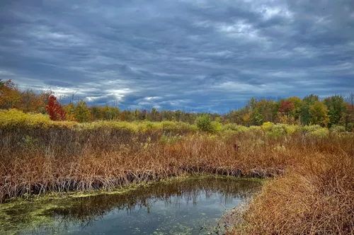Best Hikes and Trails in Huckleberry Swamp Park | AllTrails
