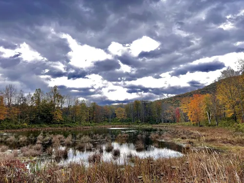 Best Hikes and Trails in Lindsay-Parsons Biodiversity Preserve | AllTrails