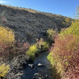 Cowiche Canyon Trail, Washington - 607 Reviews, Map | AllTrails
