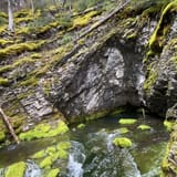 Karst Spring Trail, Alberta, Canada - 856 Reviews, Map | AllTrails