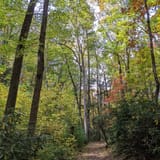 Pine Oak Nature Trail, Tennessee - 123 Reviews, Map | AllTrails