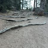 The Crags Trail, Colorado - 3,501 Reviews, Map | AllTrails