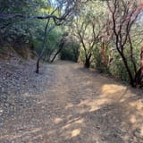 Dragoon Gulch Trail, California - 923 Reviews, Map | AllTrails