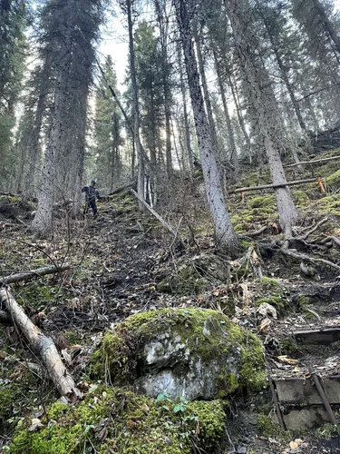 Best Hikes and Trails in Monkman Provincial Park | AllTrails