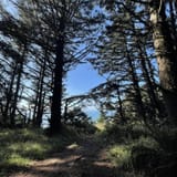 Blacklock Point Trail, Oregon - 393 Reviews, Map | AllTrails