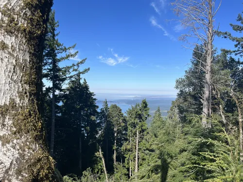 10 Best Dog Friendly Trails in Oregon | AllTrails