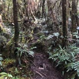 Lake Judd Trail, Tasmania, Australia - 38 Reviews, Map | AllTrails