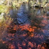 Lake Judd Trail, Tasmania, Australia - 36 Reviews, Map | AllTrails