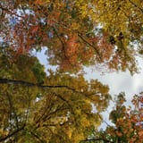 Two Lakes Loop Trail, Indiana - 554 Reviews, Map | AllTrails