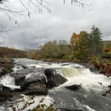 Ferncliff Trail, Pennsylvania - 1,279 Reviews, Map | AllTrails