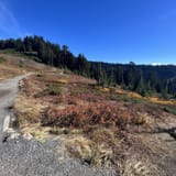 Myrtle Falls Viewpoint via Skyline Trail, Washington - 3,640 Reviews ...