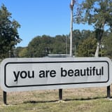 Longleaf Trace Trail, Mississippi - 306 Reviews, Map | AllTrails