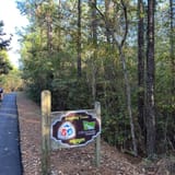 Longleaf Trace Trail, Mississippi - 306 Reviews, Map | AllTrails