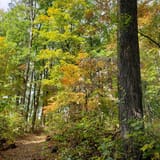 Two Lakes Loop Trail, Indiana - 554 Reviews, Map | AllTrails