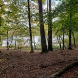 Two Lakes Loop Trail, Indiana - 554 Reviews, Map | AllTrails