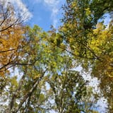 Two Lakes Loop Trail, Indiana - 554 Reviews, Map | AllTrails