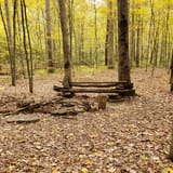 Two Lakes Loop Trail, Indiana - 554 Reviews, Map | AllTrails