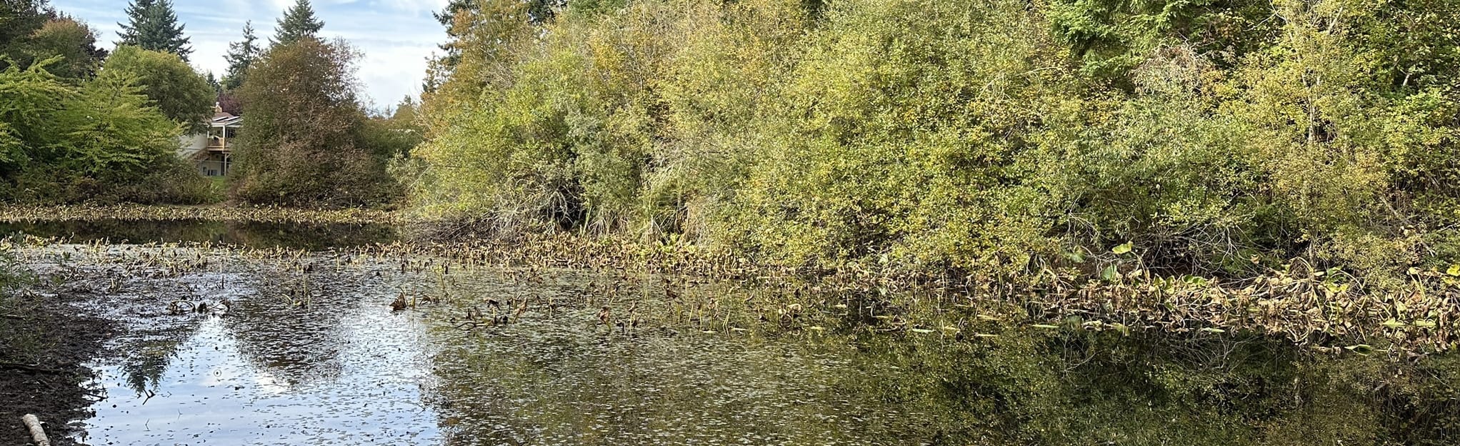 China Lake Loop, Washington - 111 Reviews, Map | AllTrails