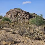Black Rock Loop Trail, Arizona - 656 Reviews, Map | AllTrails