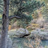 Tongue River Canyon, Wyoming - 651 Reviews, Map | AllTrails