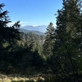Clatsop Loop Trail from Indian Beach, Oregon - 2,490 Reviews, Map ...