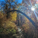 Ghost Falls Trail, Utah - 450 Reviews, Map | AllTrails