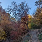 Ghost Falls Trail, Utah - 450 Reviews, Map | AllTrails